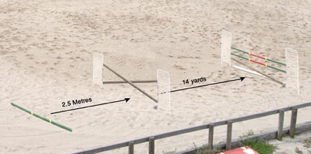 Teaching a horse to jump: From cross-rails to stone walls & more ...