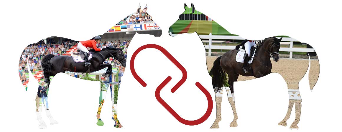 Cross-Disciplinary Training Success – Equestrian Digest