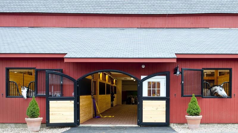 Back to the Basics – Equestrian Digest